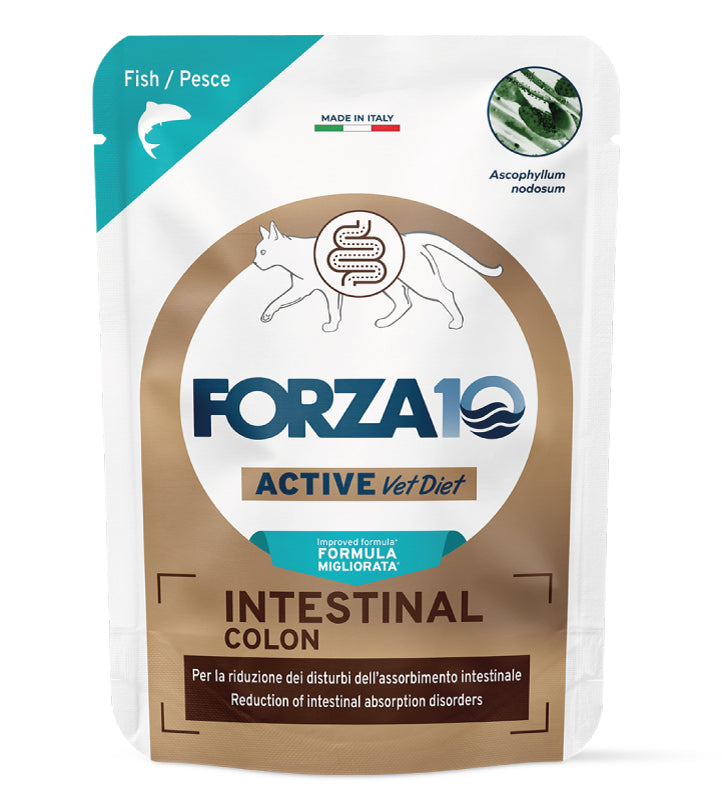 Forza 10 - Active Vet Diet Cat - Intestinal Colon - 100gr – Animal Store